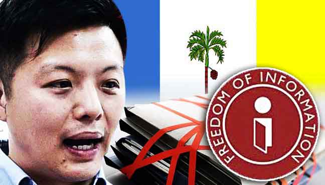 Red tape hinders effort to obtain FOI documents, says Loo | FMT