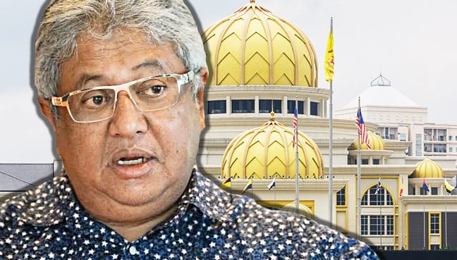 Zaid: Only royalty can push for reforms | FMT
