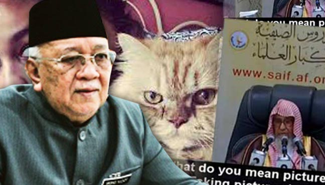Selfie dengan kucing tak haram – Mufti N9 | FMT