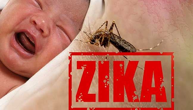Florida reports first baby born with Zika virus defects | FMT