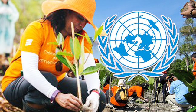 Ericsson’s mangrove boosting project in Selangor wins UN award | FMT