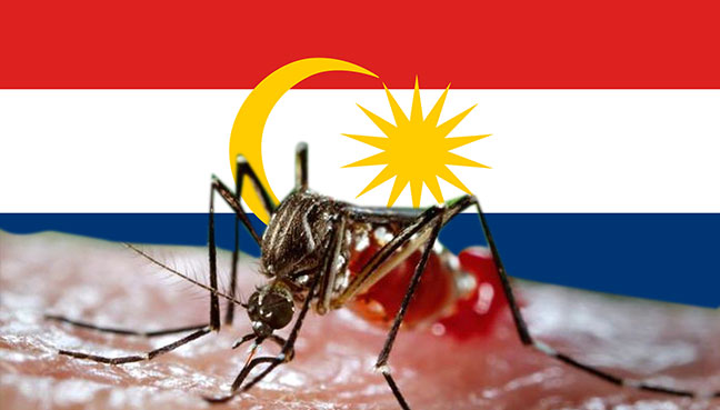 Labuan records ‘alarming’ rise in dengue cases | FMT