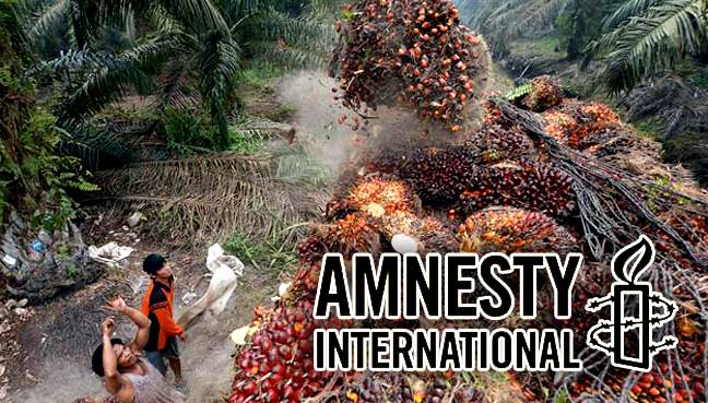 Amnesty: Companies using Indonesian palm oil tainted by abuse | FMT