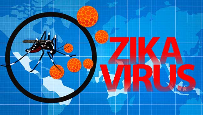 Zika virus mutated around 2013, leading to birth defects | Free ...