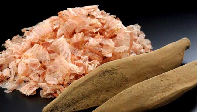 Flaking fad? Japan opens Bonito plant in France | Free Malaysia Today (FMT)