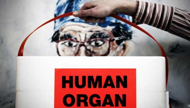 Egypt busts organ trading racket, arrests 45 people | FMT