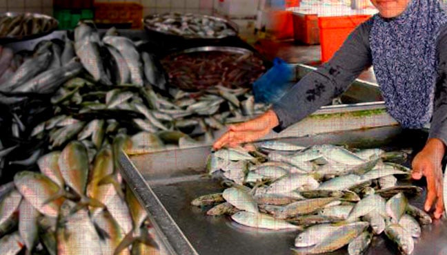 Price of kembong fish doubles due to monsoon season | FMT