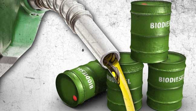 Is Biodiesel good for you? | Free Malaysia Today (FMT)