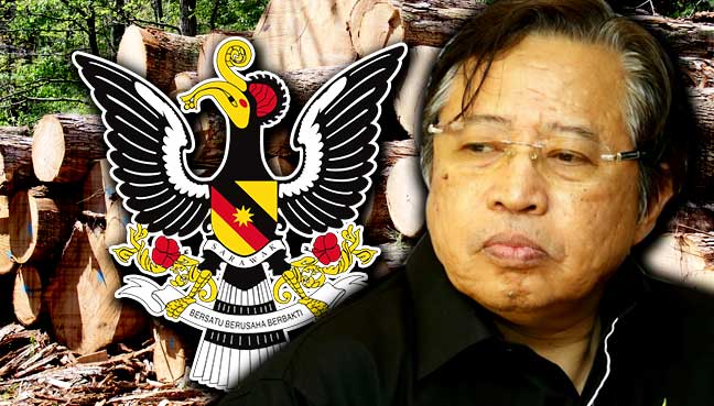 Open tenders for short-term timber licences in Sarawak | FMT