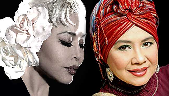 Anita Sarawak, Rahimah Rahim receive major Singapore accolade | FMT