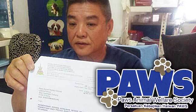 Selangor gives RM150,000 to allay pet neutering cost | FMT