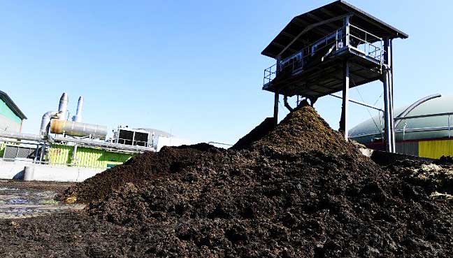 New museum reveals power of poo in Italy | FMT