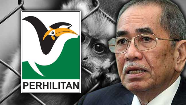 Perhilitan cripples wildlife trafficking via social media | FMT