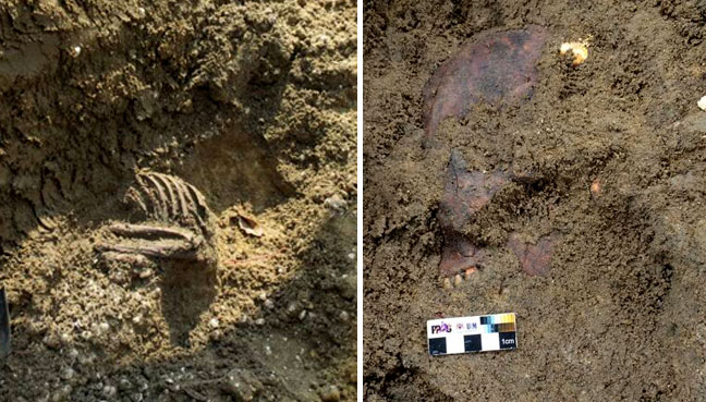 Shells from prehistoric burial site sent for carbon dating | FMT