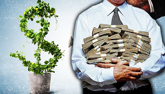 Get-rich-quick schemes are con jobs, period | FMT