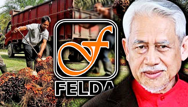PPBM: Felda breakthrough forced Najib’s hand | FMT