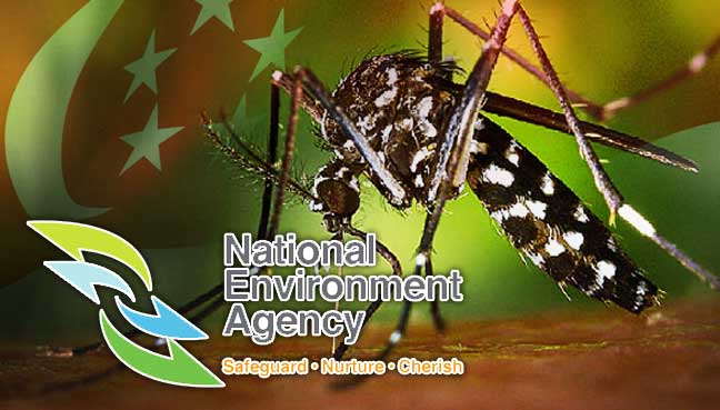 Singapore confirms two new cases of Zika | Free Malaysia Today (FMT)