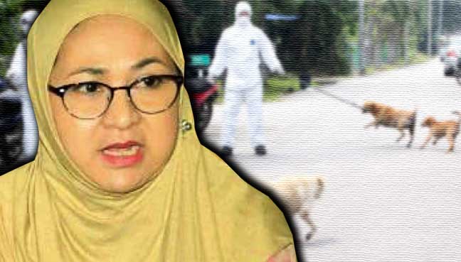 Rabies: Victims remain in critical condition | FMT