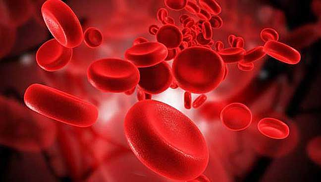 Kadar hemoglobin rendah, tak boleh derma darah | FMT