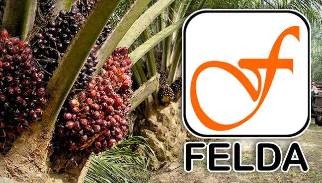 Felda bukan setakat ladang kelapa sawit lagi | FMT