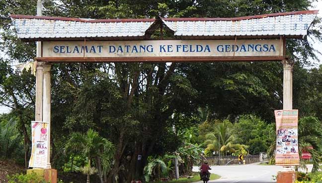 Felda bukan setakat ladang kelapa sawit lagi | Free Malaysia Today (FMT)