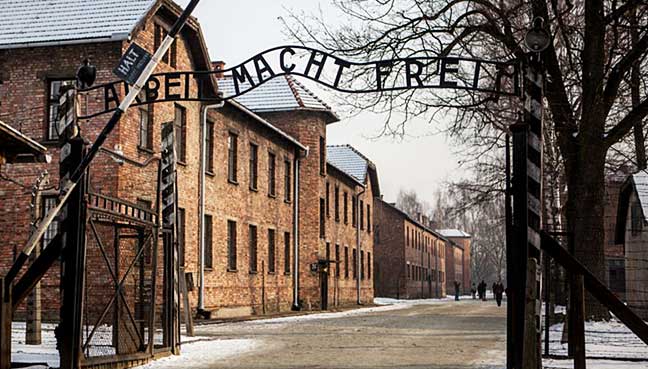 What can we learn from Auschwitz? | FMT