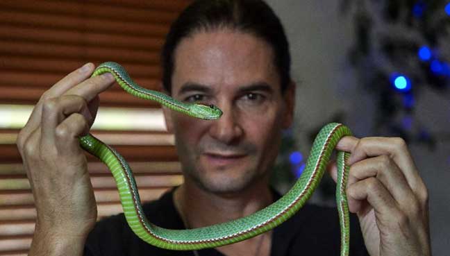 Snake man’s venom habit holds hope for new antidote | Free Malaysia ...
