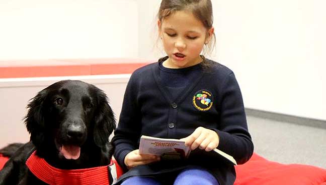 Dogs help children read in Lithuania library | FMT