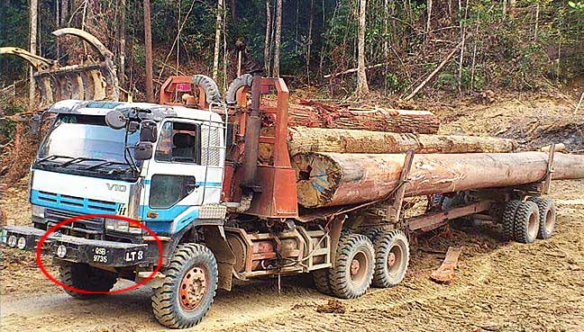 Sabah forestry chief rubbishes illegal logging claim in Maliau Basin ...