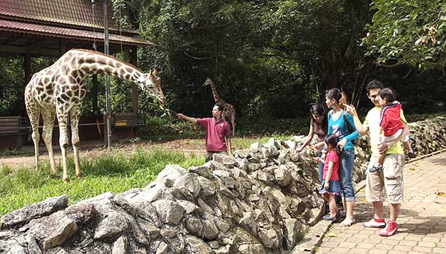 Zoo bukan sekadar pusat pameran tapi pemeliharaan haiwan | Free ...