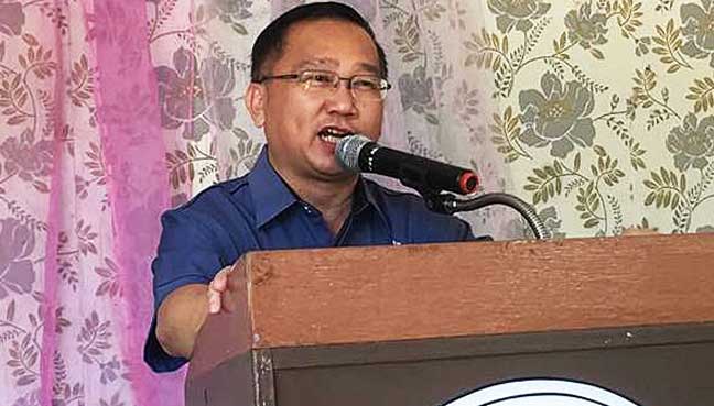 Chin Su Ying News (1+ Articles) | Free Malaysia Today