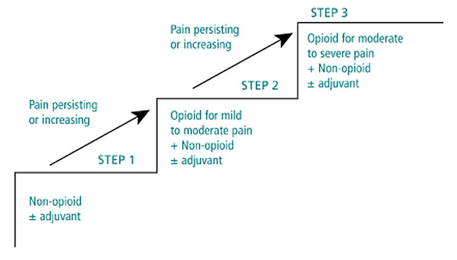 Painkillers demystified | Free Malaysia Today (FMT)