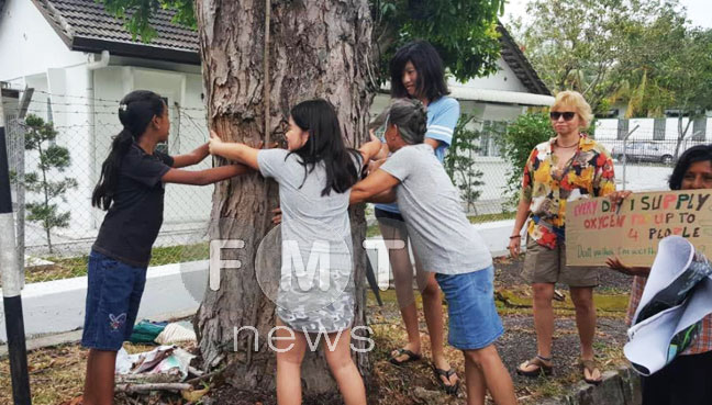 Penang NGO members hug trees, protest plans to cut them down | FMT