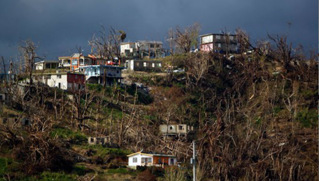 Storm Beryl leaves thousands without power in Puerto Rico | Free ...