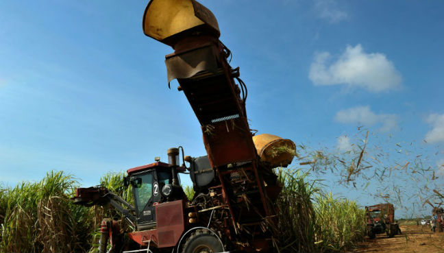 Cuba to study whether climate change is hurting sugar harvests | Free ...