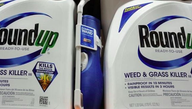 Bayer shares slide after Monsanto loses verdict in Roundup cancer trial ...