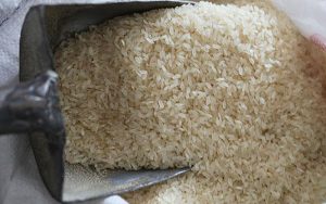 Rice smuggling at borders still rampant, says NGO | Free Malaysia Today ...