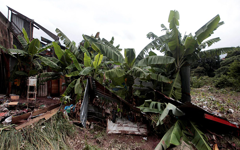 Hujan lebat di Amerika Tengah ragut 12 nyawa, ribuan lain cari ...