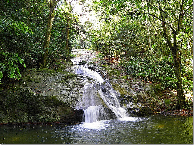 The beautiful waterfalls of Batang Kali | Free Malaysia Today (FMT)