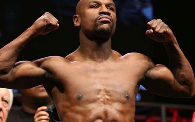 Mayweather teases 2020 comeback from retirement | FMT