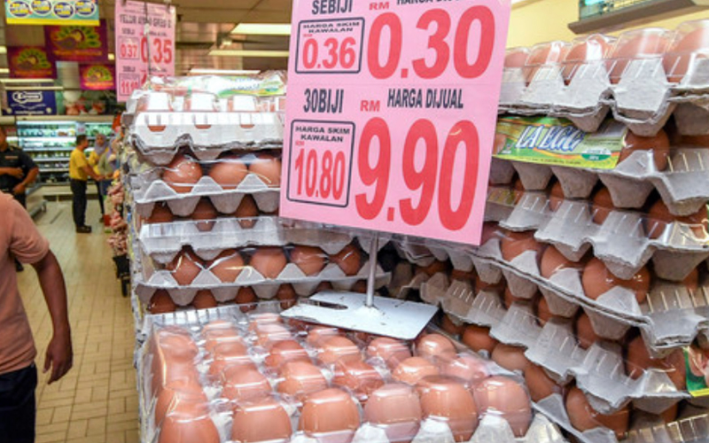 Mydin boss tells how to break egg shortage, price hike | FMT