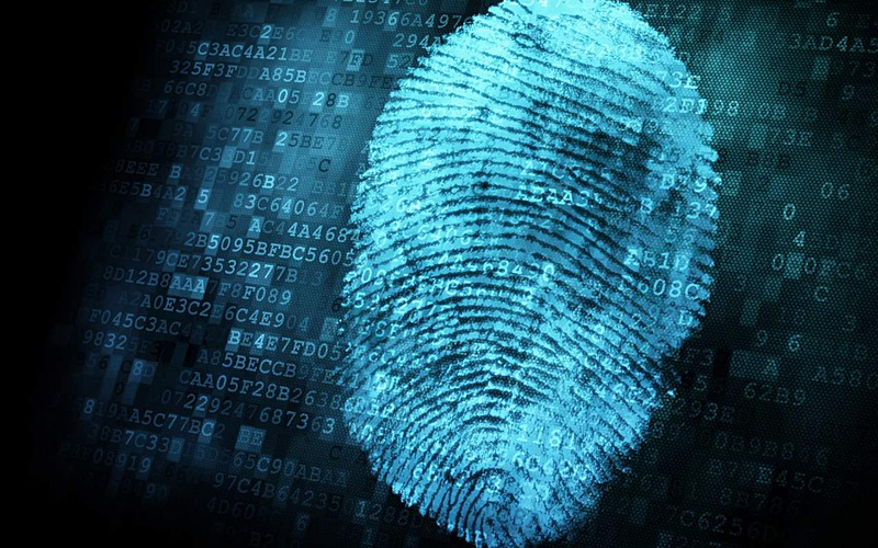 The mystery behind our unique fingerprints explained | FMT