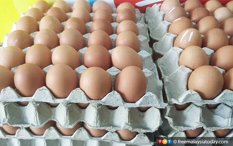 Tegas isu label pengilang, maklumat pada telur, kata Fomca | FMT