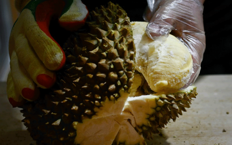 Chinese hunger for ‘world’s smelliest fruit’ threatens Malaysian ...