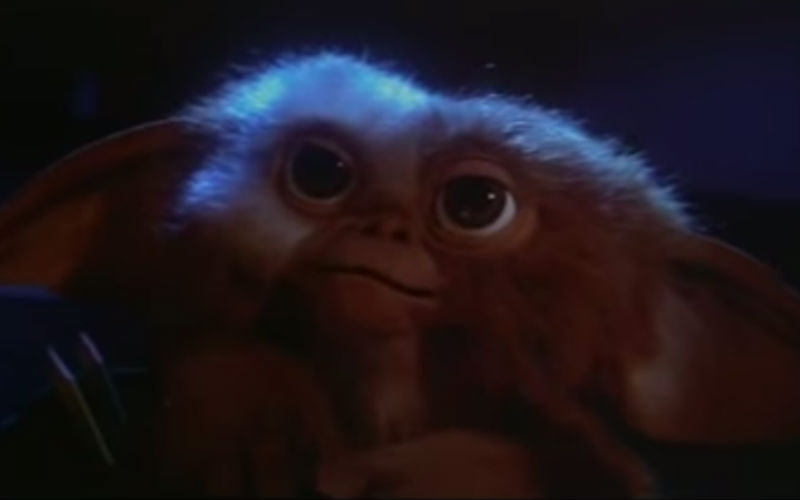 ‘Gremlins’ to transmogrify into animated series | Free Malaysia Today (FMT)