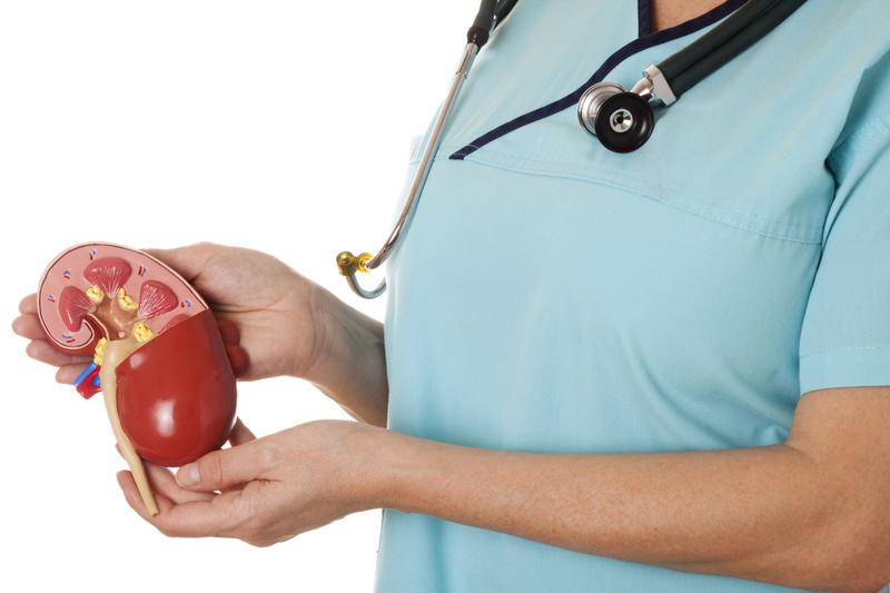 Kidneys grown in rats could pave way for human transplant options ...