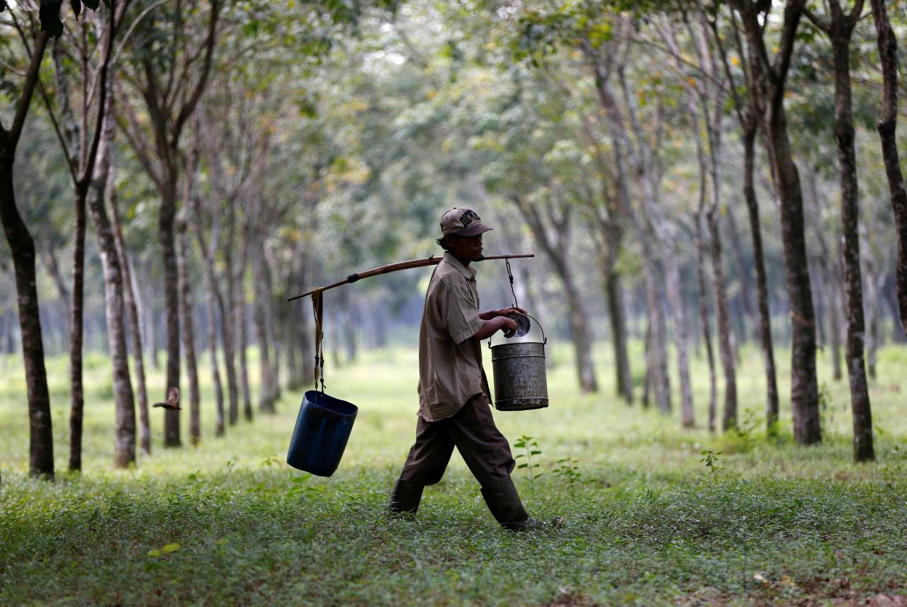Indonesia to propose rubber export restriction in upcoming producers ...