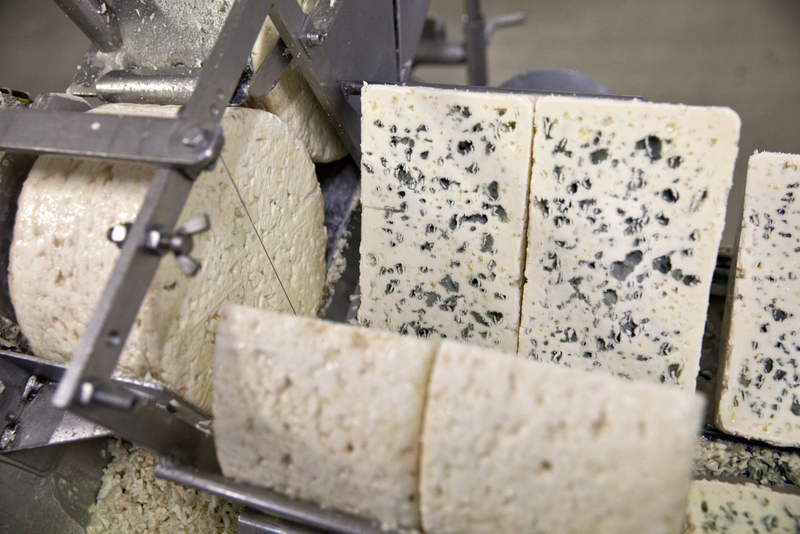 Cheese kings worth US$19 Billion as dairy dynasty grows riches | FMT