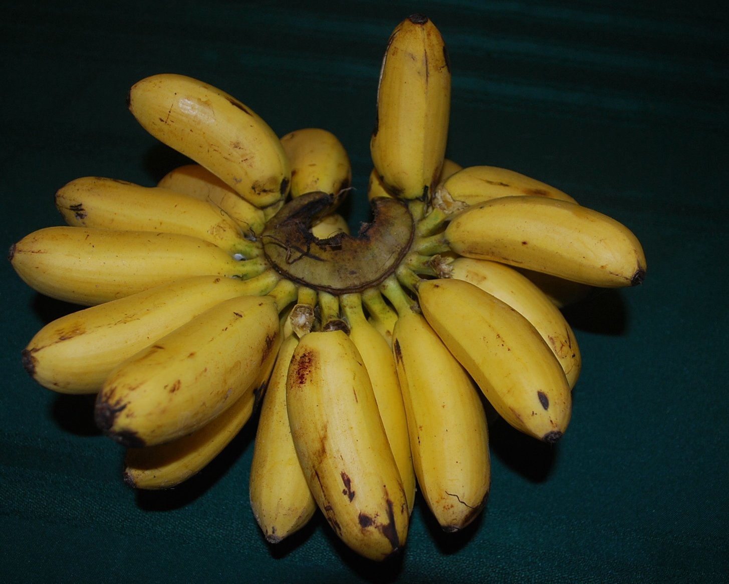 Pisang raja, awak, lemak manis… let’s go absolutely bananas! | Free ...