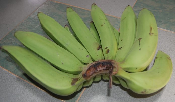 Pisang raja, awak, lemak manis… let’s go absolutely bananas! | Free ...